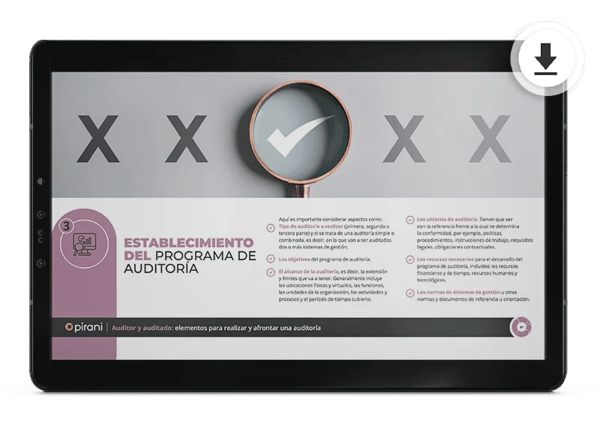 Gracias por descargar Auditor y Auditado: elementos para una auditoría